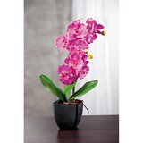 Dekorativno cveće orhideja 10x10x42 3 modela | ePonuda.com