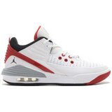 Nike muške patike jordan max aura 5 DZ4353-101 | ePonuda.com