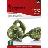 Semenarna Ljubljana ukrasna tikva kobra - seme - cucurbita maxima ...