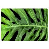 Bertoni Home Unisex's Rectangular Table Pad Galapagos Night | ePonuda.com