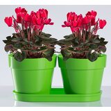 B-plast saksije za cveće sa tacnom Frajle Mix and Play Zelena | ePonuda.com