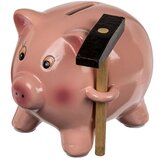 Kasica prasica | ePonuda.com