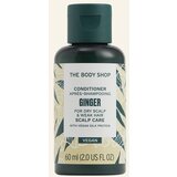 The Body Shop ginger conditioner new 60 ml | ePonuda.com