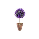 Ukrasno cveće lavanda 12x26 | ePonuda.com