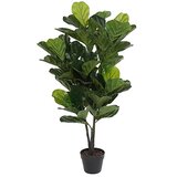 Ukrasna biljka eva 60x120 | Eponuda.com