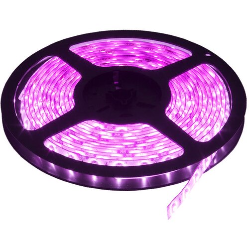 Led traka roza 60 / 1m | ePonuda.com