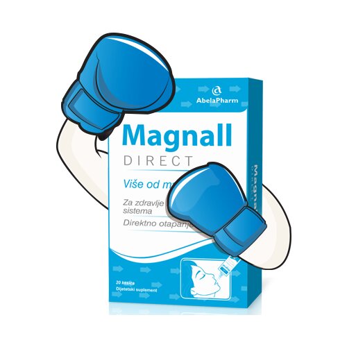 PROTON SYSTEM magnall direct | ePonuda.com