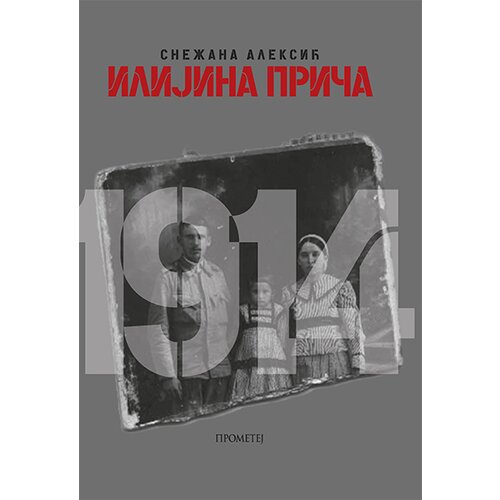 Prometej, Novi Sad Snežana Aleksić - Ilijina priča | EPonuda.com