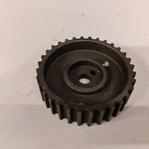 Kaišnik male bregaste Florida | ePonuda.com