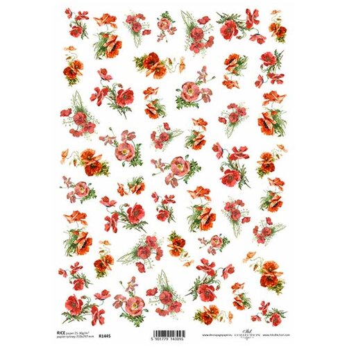 Pirinčani papir A4 ITD - Bulke | Eponuda.com