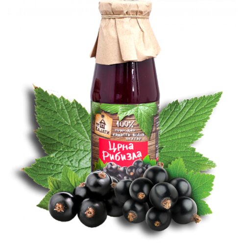 100% prirodan voćni nektar ''ВАЈАТИ'' Crna ribizla 200ml 110 | ePonuda.com