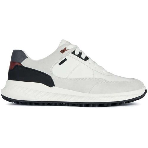 Geox muške patike PG1X b abx U36E0A1110020 | ePonuda.com