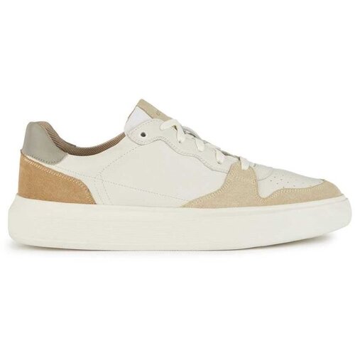 Geox muške patike u deiven | ePonuda.com