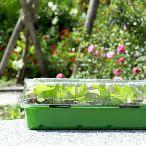 Staklenik 56X19X15 cm Windhager | ePonuda.com