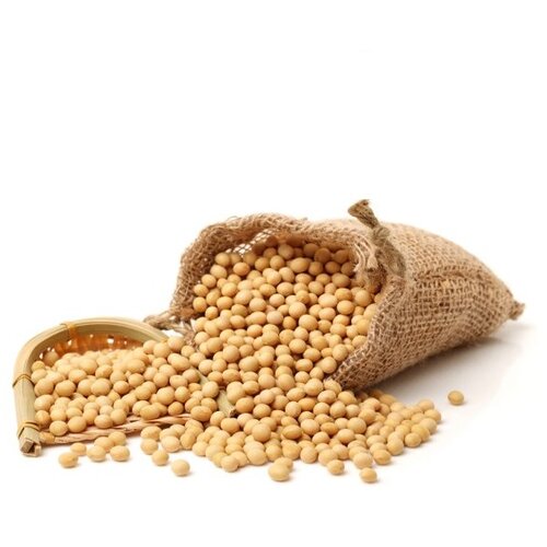 Sirova soja organic 1kg | Eponuda.com