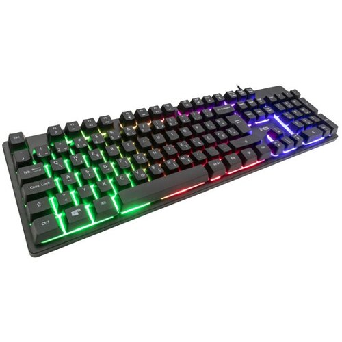 MS Industrial TASC100G TASTATURE MS ELITE C100 GAMING TASTATURA ...