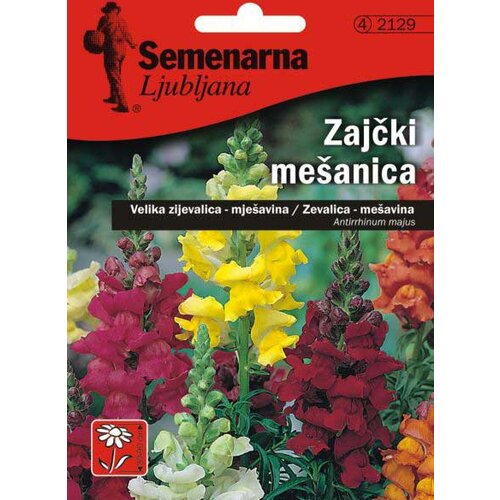 Semenarna Ljubljana cveće zevalica - mešavina - antirrhinum majus ...