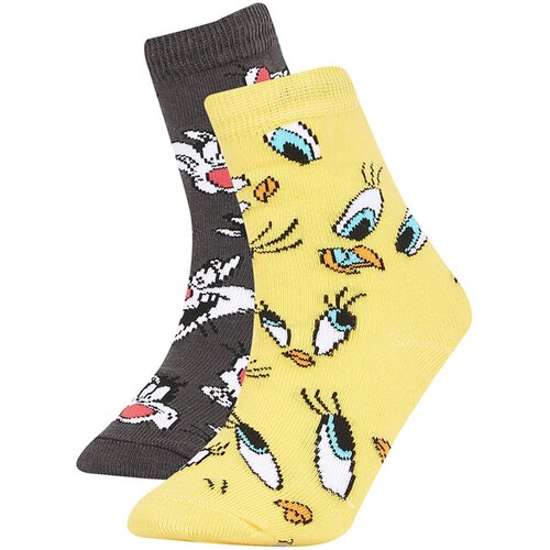 Defacto 2 piece Looney Tunes Licensed Long sock | ePonuda.com