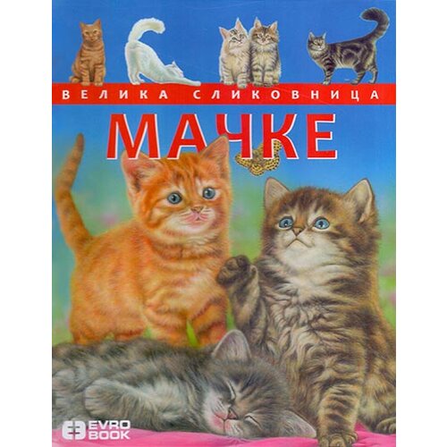 Evro Book Emili Bomon - Mačke - velika slikovnica | ePonuda.com