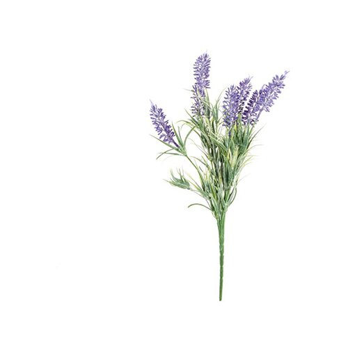 Ukrasna lavanda 32 cm | Eponuda.com