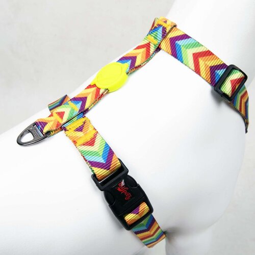 Paws & Whiskers am za pse air-mesh, crveni | Eponuda.com