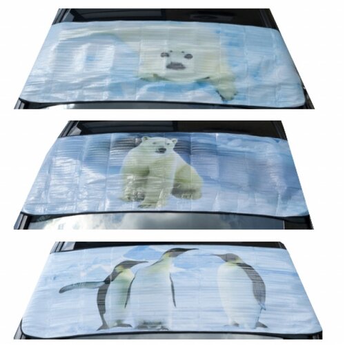 Štitnik za sneg na vetrobransko staklo 200x70 ( 452711 ) | EPonuda.com